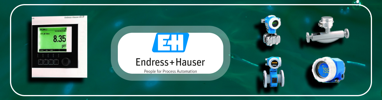 Endress Hauser – PH Trading WLL